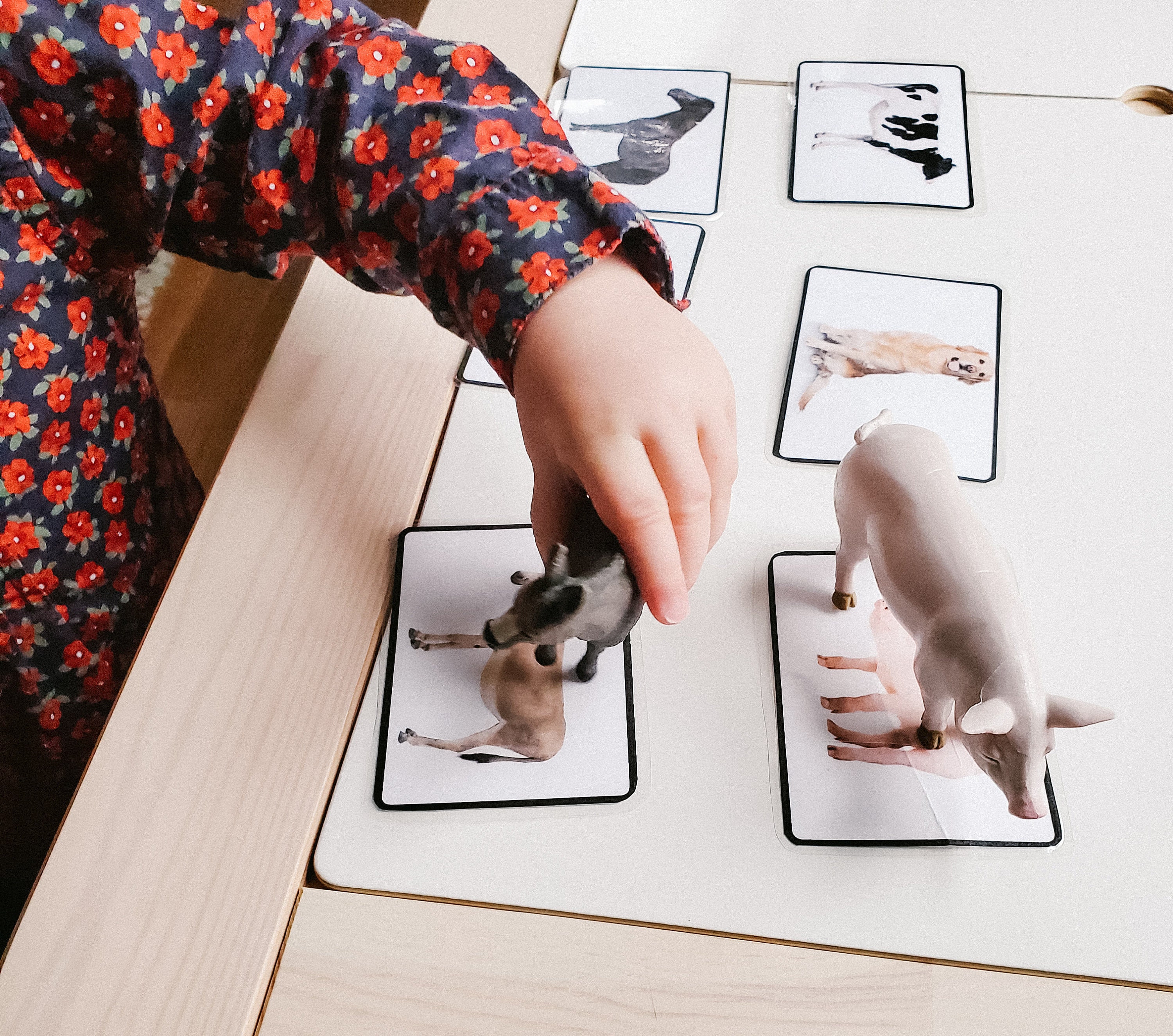 Farm Animal Flashcards, Animal Matching, Farm Animal Learning, Farm ...