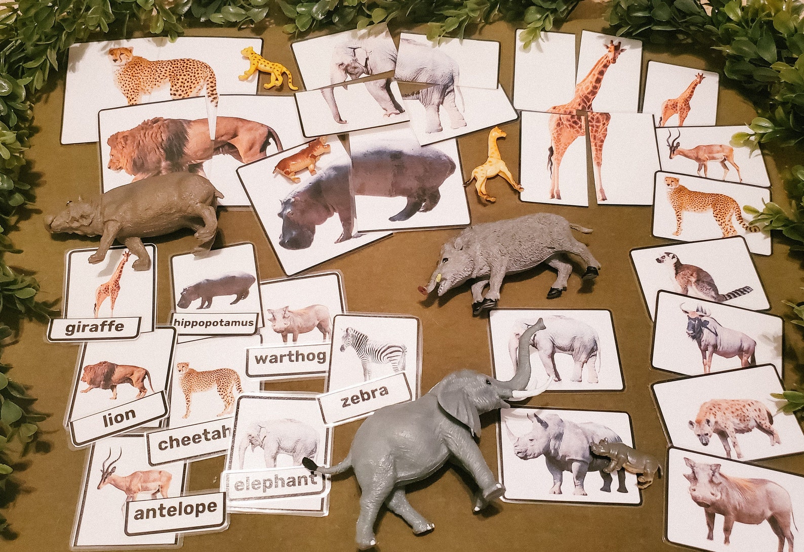 Safari Animal Flashcards, Animal Matching, African Animal Learning ...