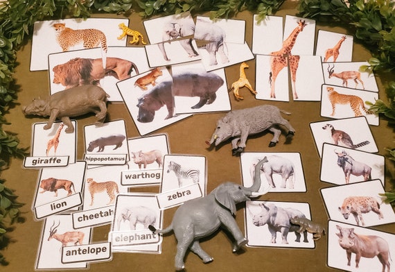 Safari Animal Flashcards Animal Matching African Animal | Etsy
