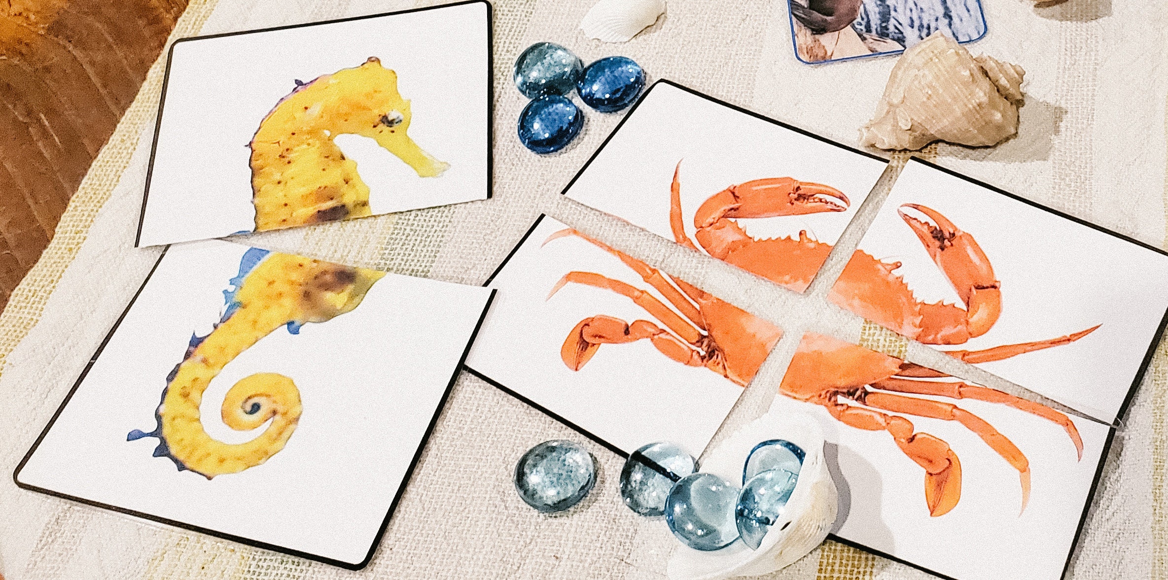 Ocean Animal Flashcards, Animal Matching, Ocean Animal Learning, Ocean ...