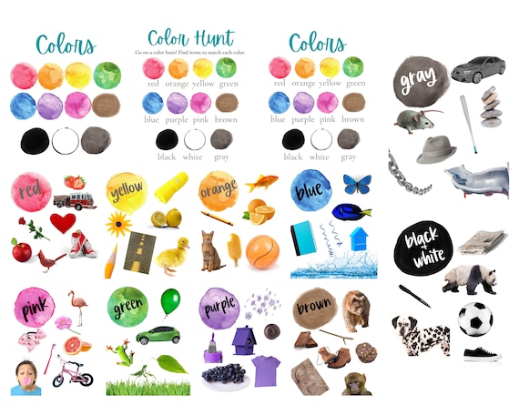 Learning Basic Colors