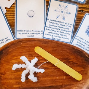 Snowflakes Themed Learning Unit, Winter Learning, Winter Activities ...