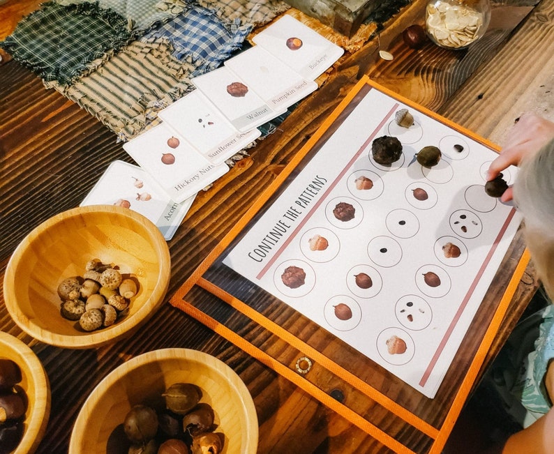 Seeds Learning Flashcards, Pattern Worksheets, Nature, Educational ...