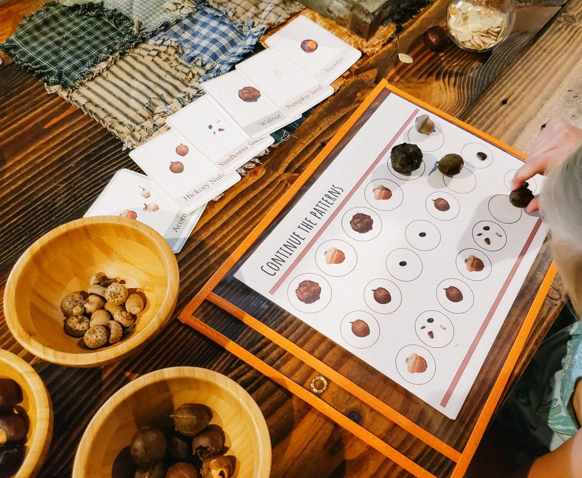 Semillas Tarjetas didácticas de aprendizaje Hojas de trabajo - Etsy España