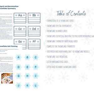 Snowflakes Themed Learning Unit Winter Learning Winter | Etsy