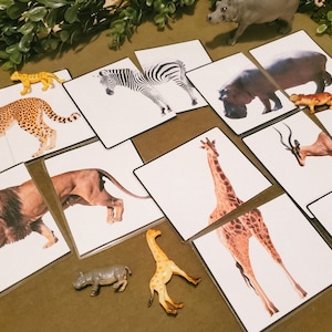Safari Animal Flashcards, Animal Matching, African Animal Learning ...