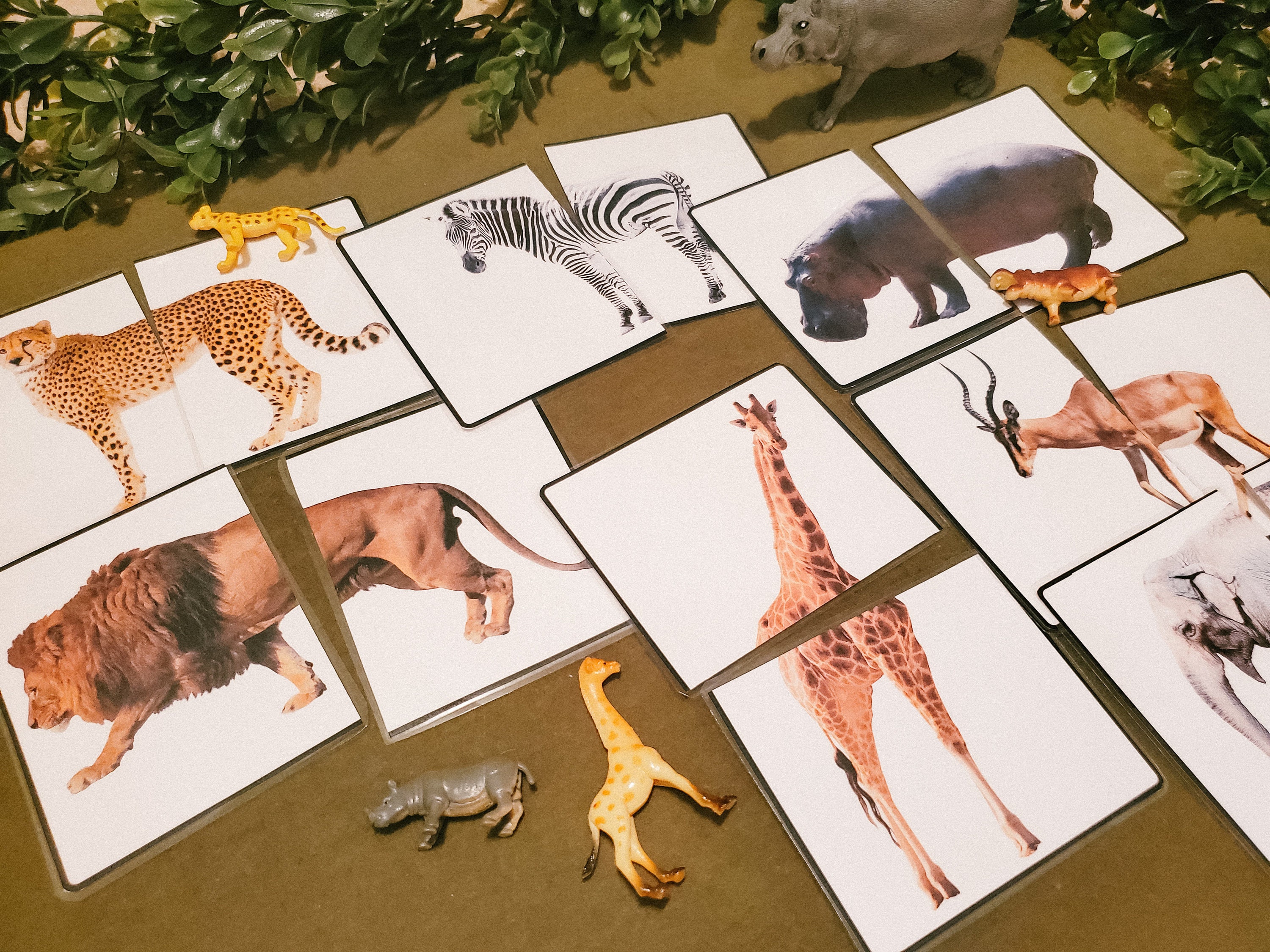 Safari Animal Flashcards, Animal Matching, African Animal Learning ...