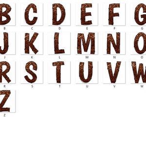 Tooled Leather Letters, Western Doodle Alphabet Clipart, Sublimation ...