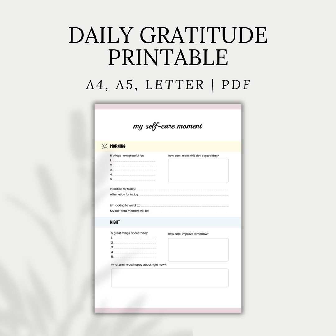 Daily Gratitude and Reflection Printable, Daily Check-in, Gratitude ...
