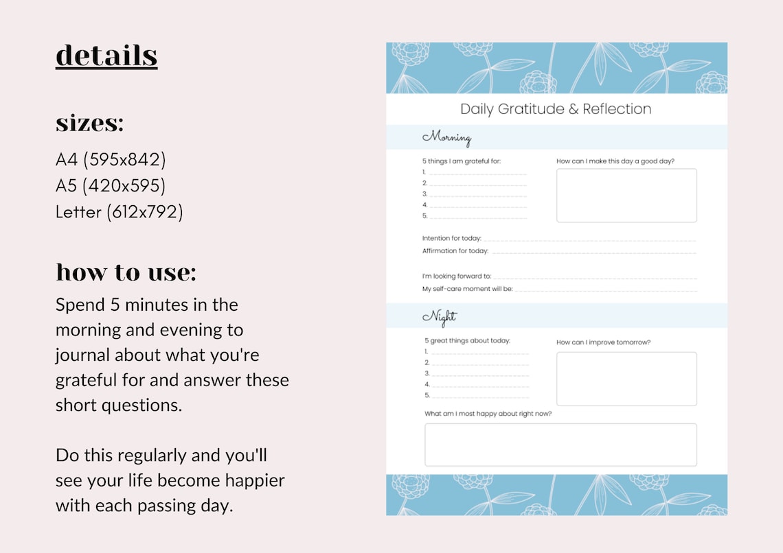 Daily Gratitude and Reflection Printable Daily Check-in - Etsy