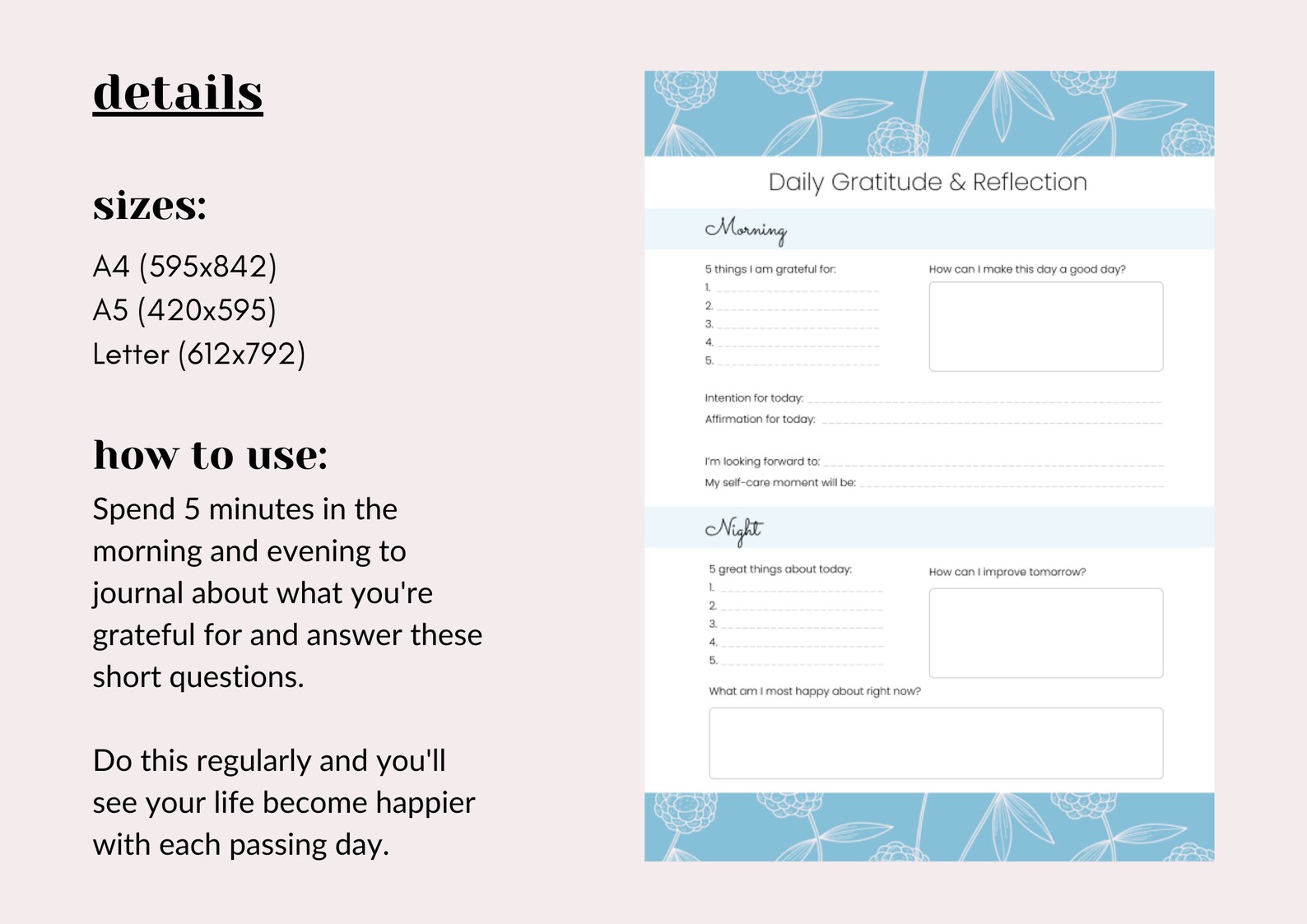 Daily Gratitude and Reflection Printable Daily Check-in - Etsy