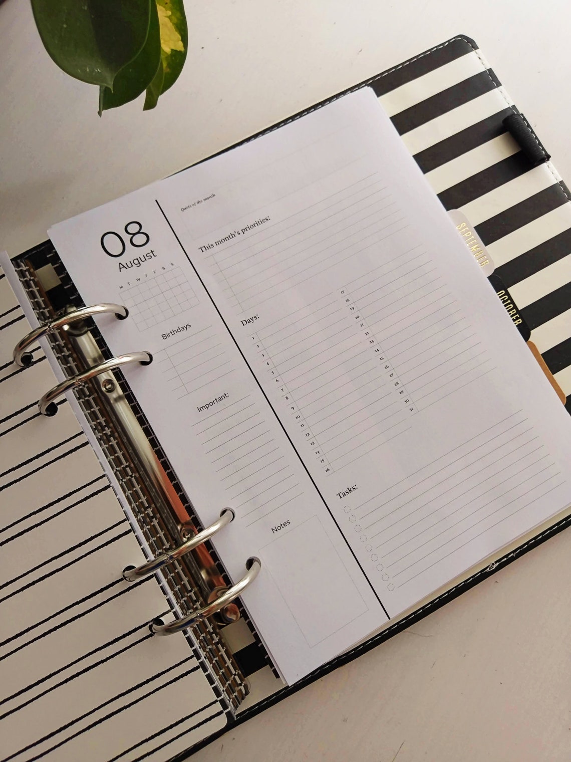 Monthly Overview Month at a Glance Month on 1 Page A4 A5 - Etsy