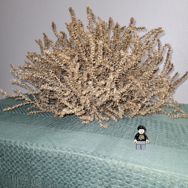 Tumbleweed - Etsy
