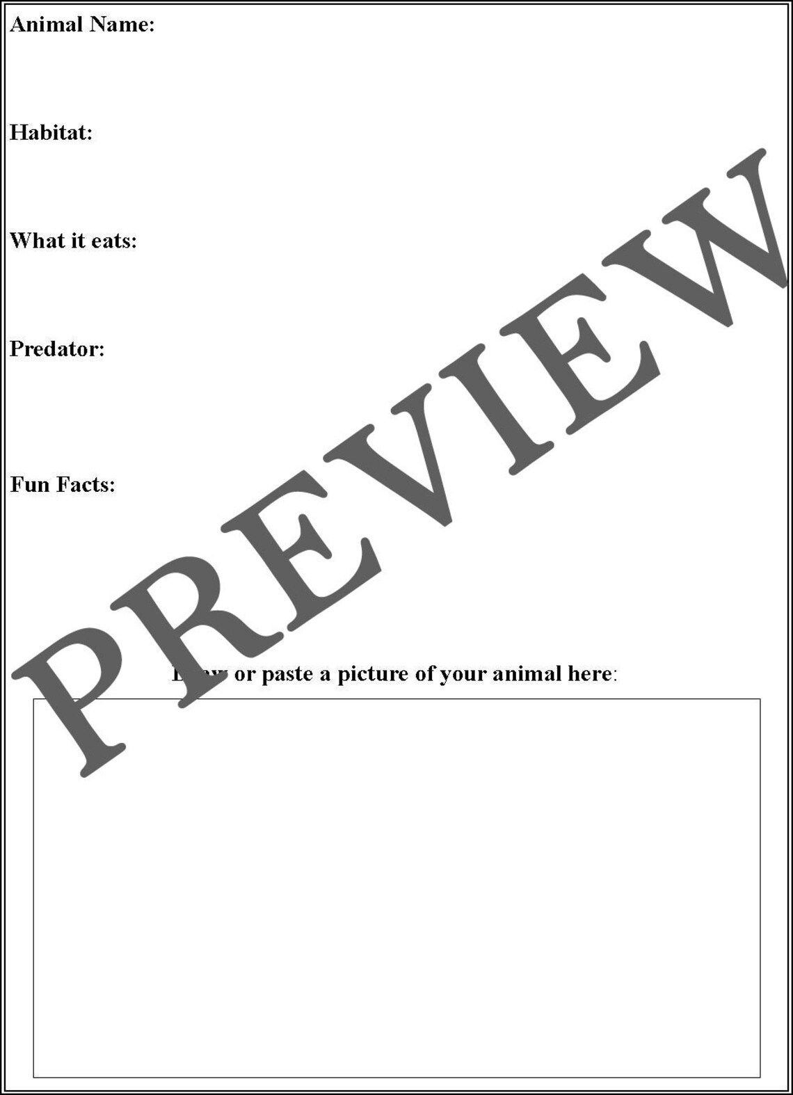 Animals Around the World Reports and Activities, Kids School Printables ...
