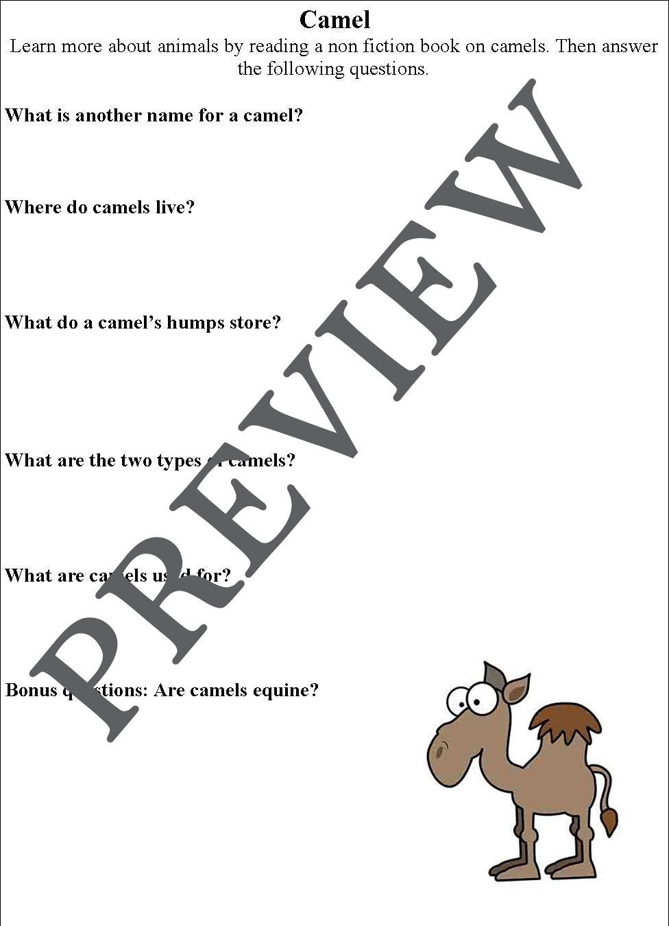 Animals Around the World Reports and Activities, Kids School Printables ...