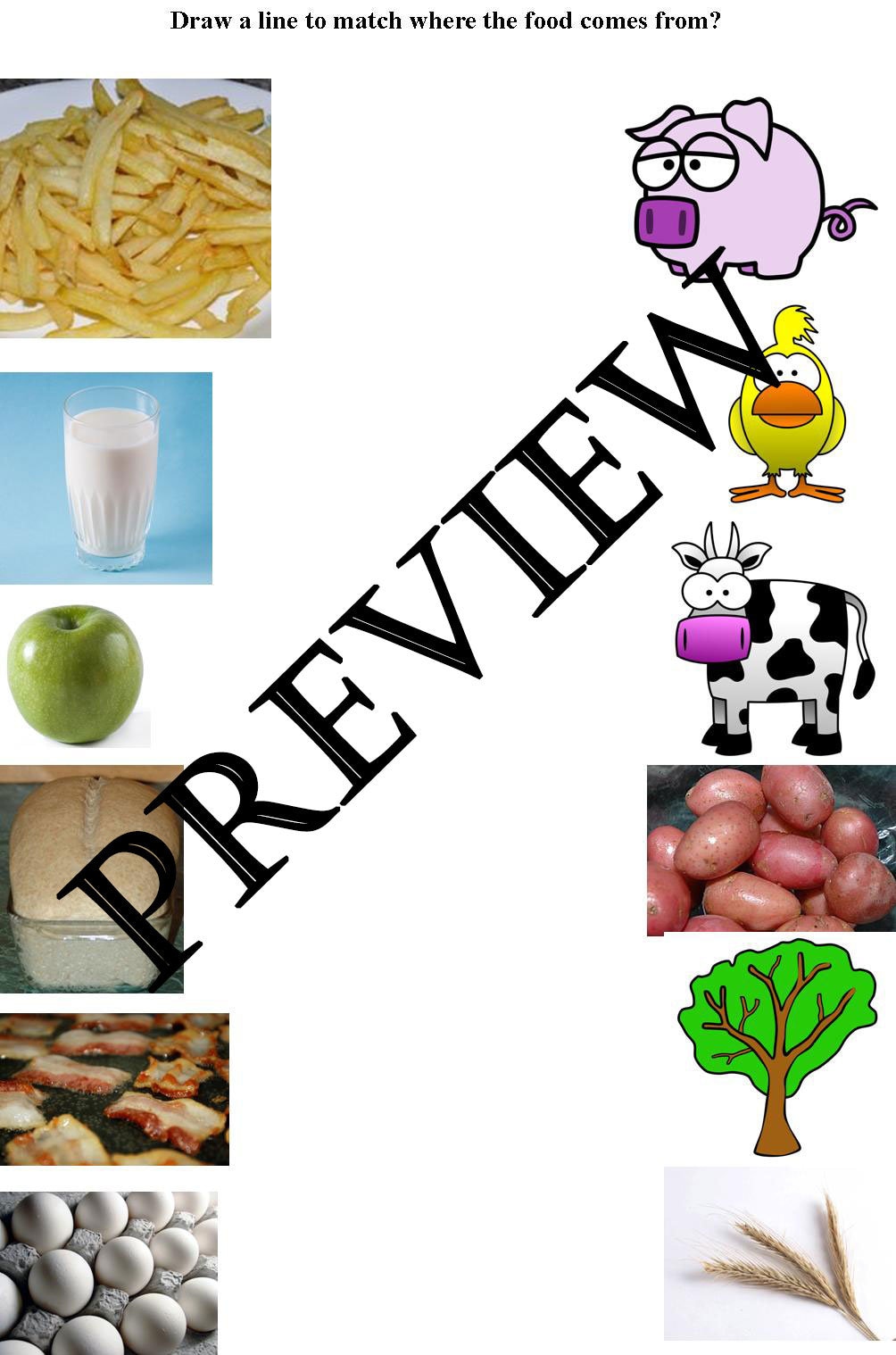 Fun With Food Coloring Activity Book Food Theme Cooking Printables and ...