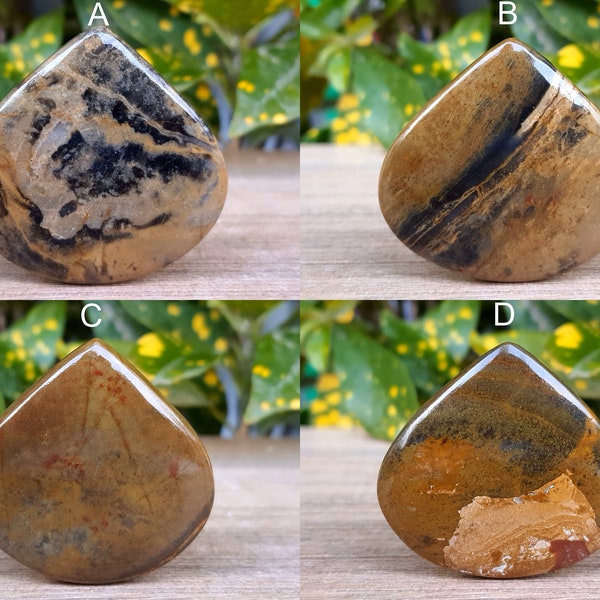 Lion Skin - Etsy