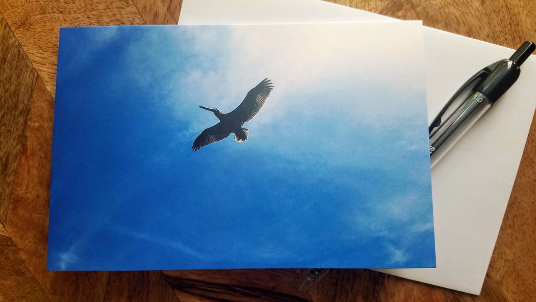 Fly High, My Friend, Charleston, South Carolina Photography, 4x6” Blank ...
