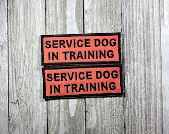 Service Dog in Training Patch - Etsy