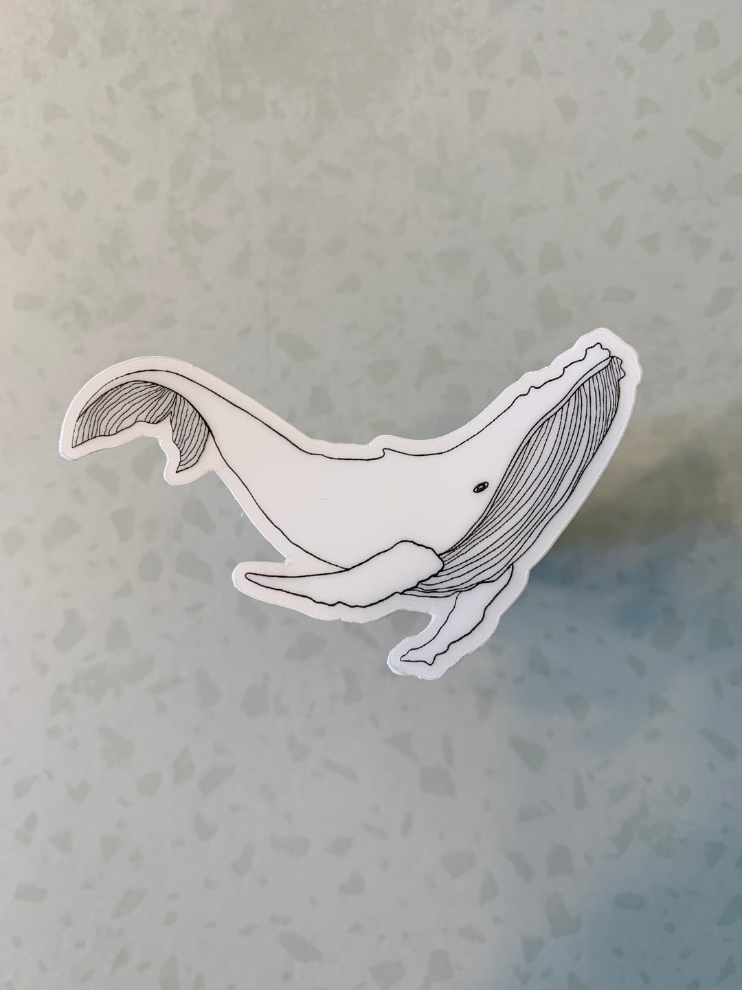 Clear Humpback Whale Outline Sticker - Etsy
