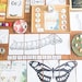 Caterpillar to Butterfly Printable | Preschool Curriculum | Homeschool ...