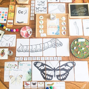 Caterpillar to Butterfly Printable | Preschool Curriculum | Homeschool ...