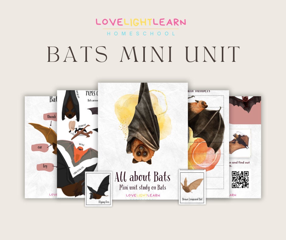 Bats Mini Study Printable | Preschool Curriculum | Homeschool Printable ...