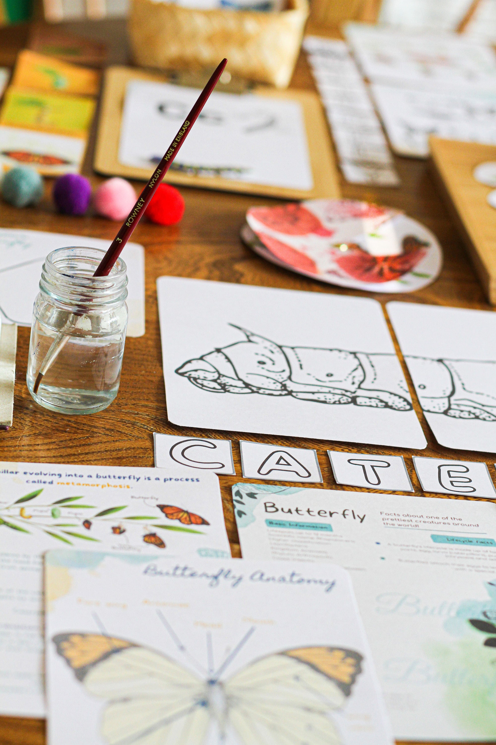 Caterpillar to Butterfly Printable Preschool Curriculum Homeschool ...