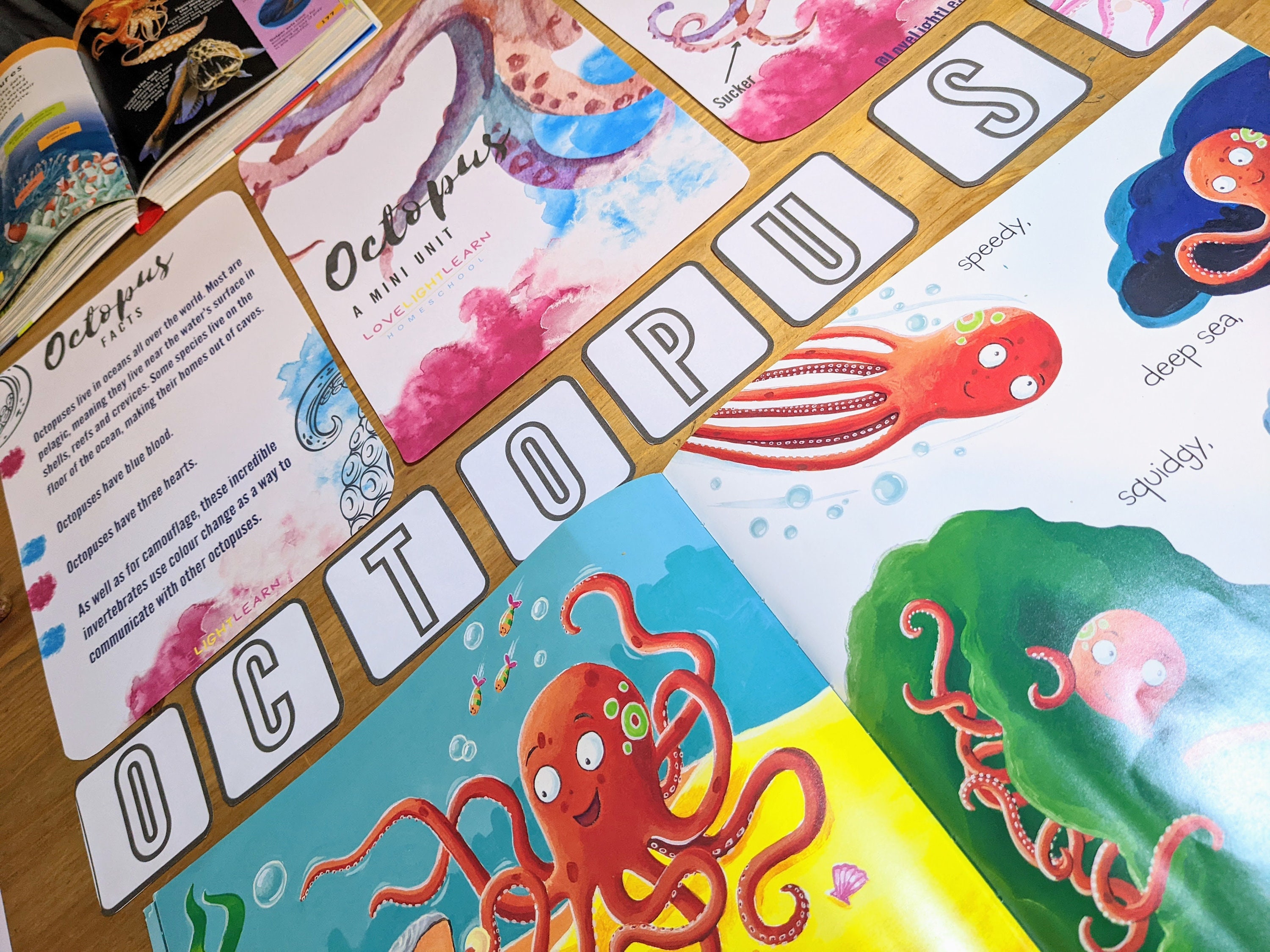 Octopus Mini Unit unit Study Sealife Underwater Homeschool Home ...