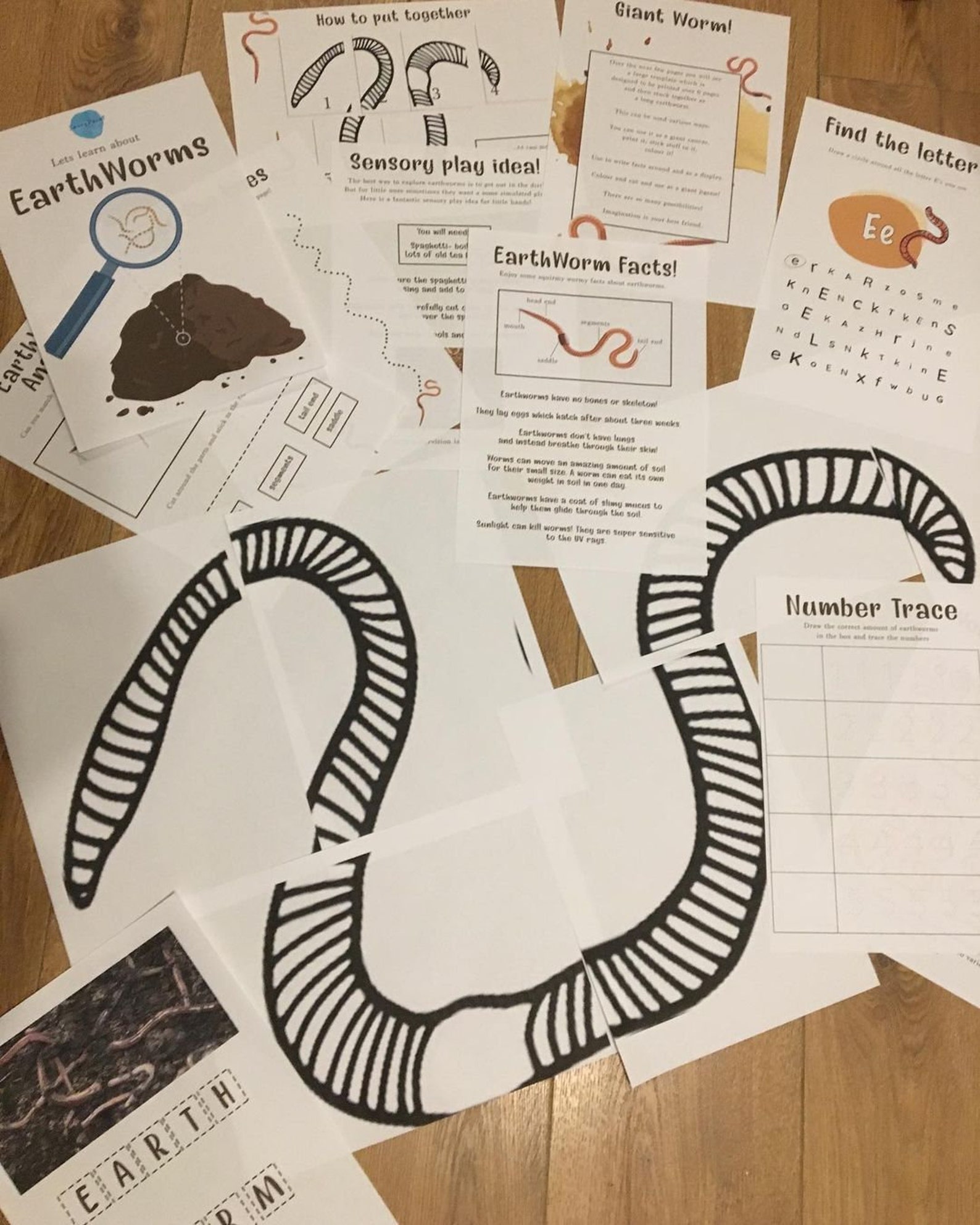 Earthworm Printable Preschool Curriculum Homeschool Printable Digital ...