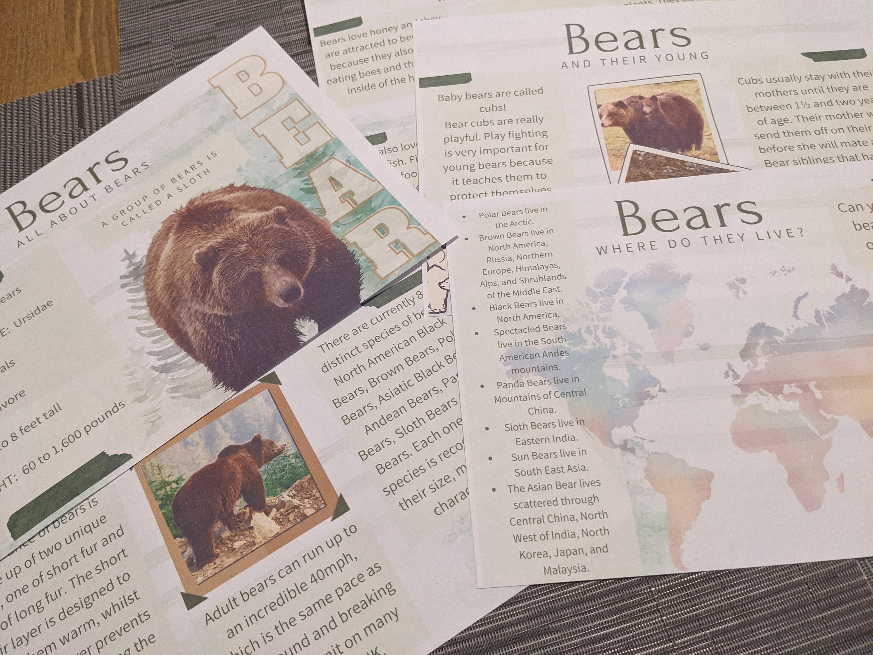 Bear Printable | Preschool Curriculum | Homeschool Printable | Digital ...