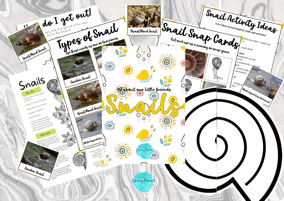 Snail -our Little Friend- Printable | Preschool Curriculum | Homeschool ...