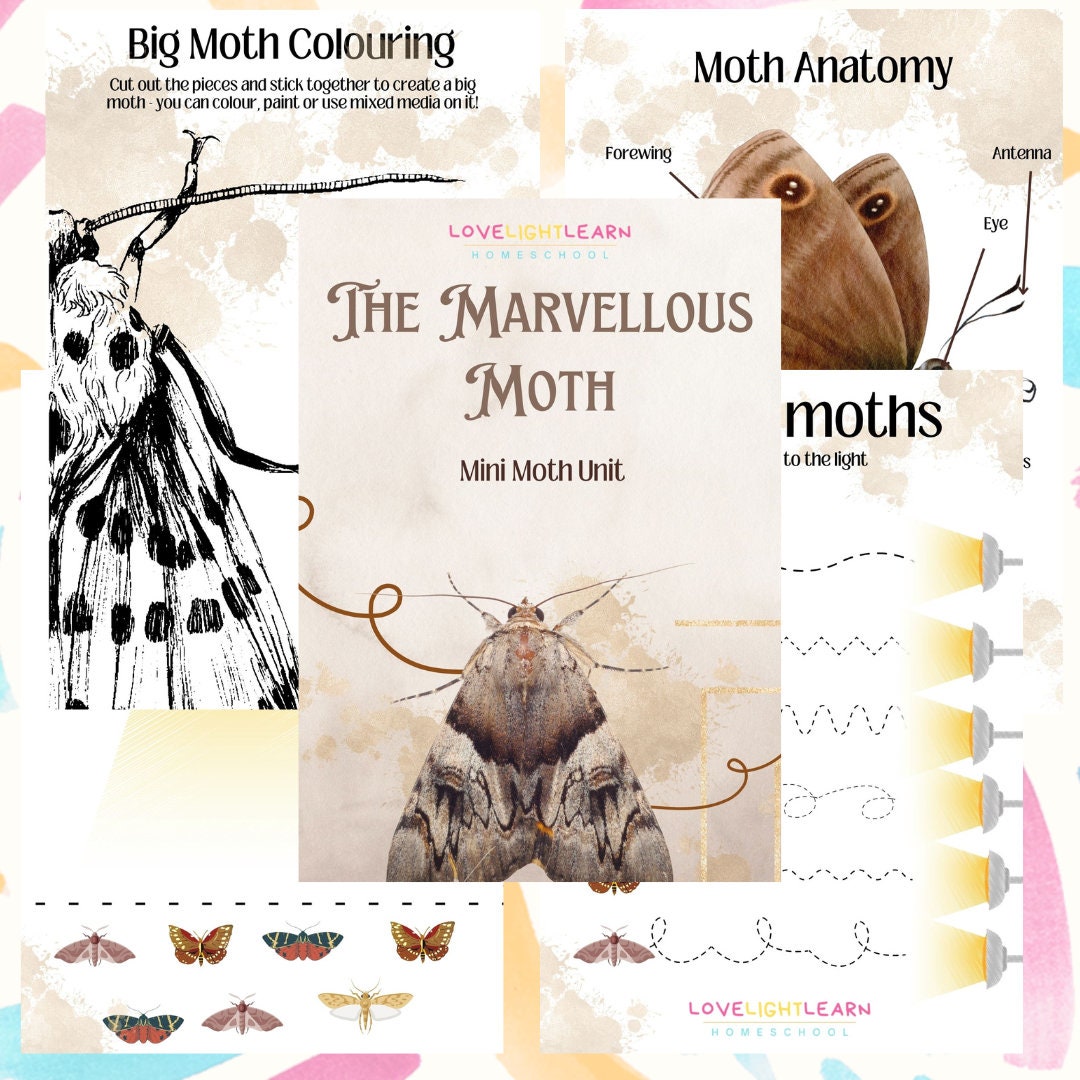 The Marvellous Moth nature Insects Nature Study - Etsy