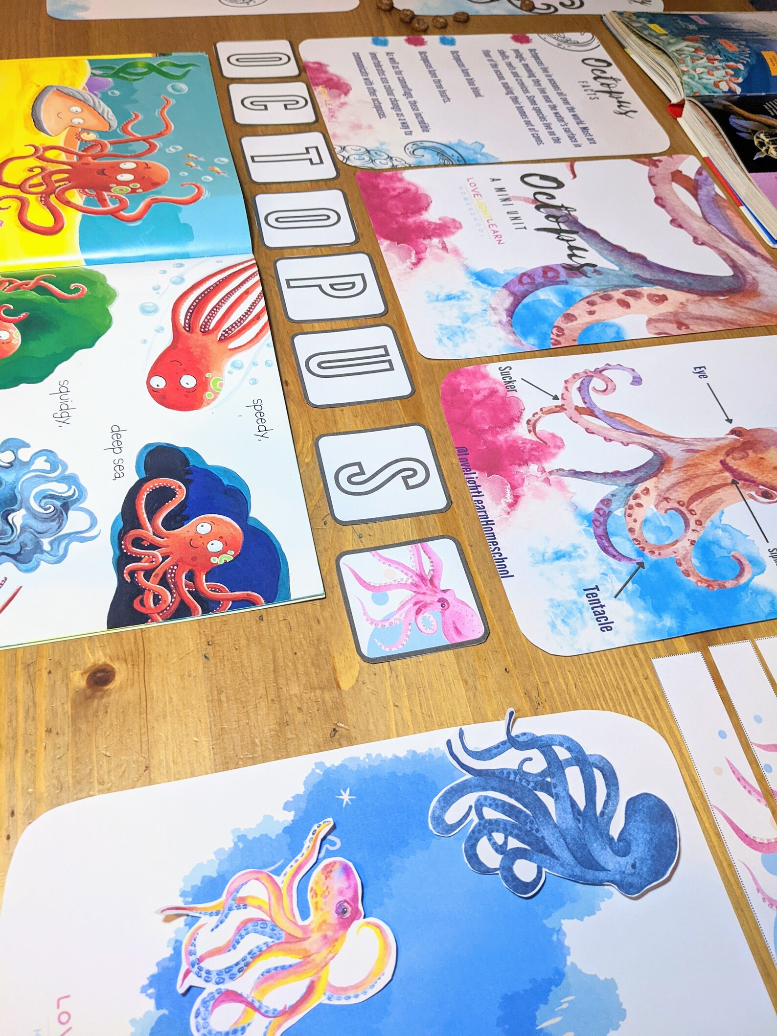 Octopus Mini Unit |unit Study| Sealife| Underwater | Homeschool | Home ...