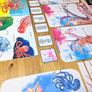 Octopus Mini Unit |unit Study| Sealife| Underwater | Homeschool | Home ...