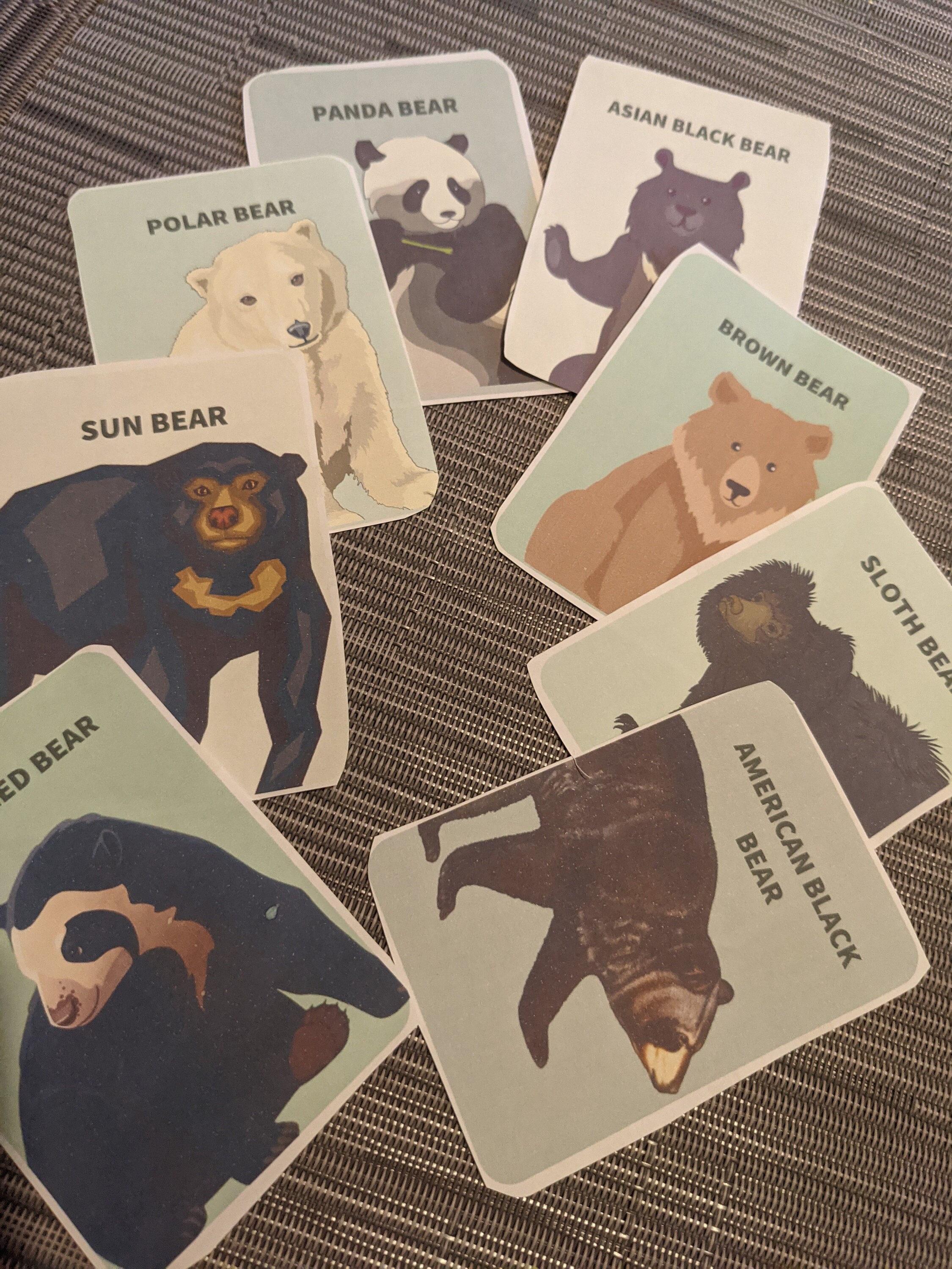 Bear Printable | Preschool Curriculum | Homeschool Printable | Digital ...