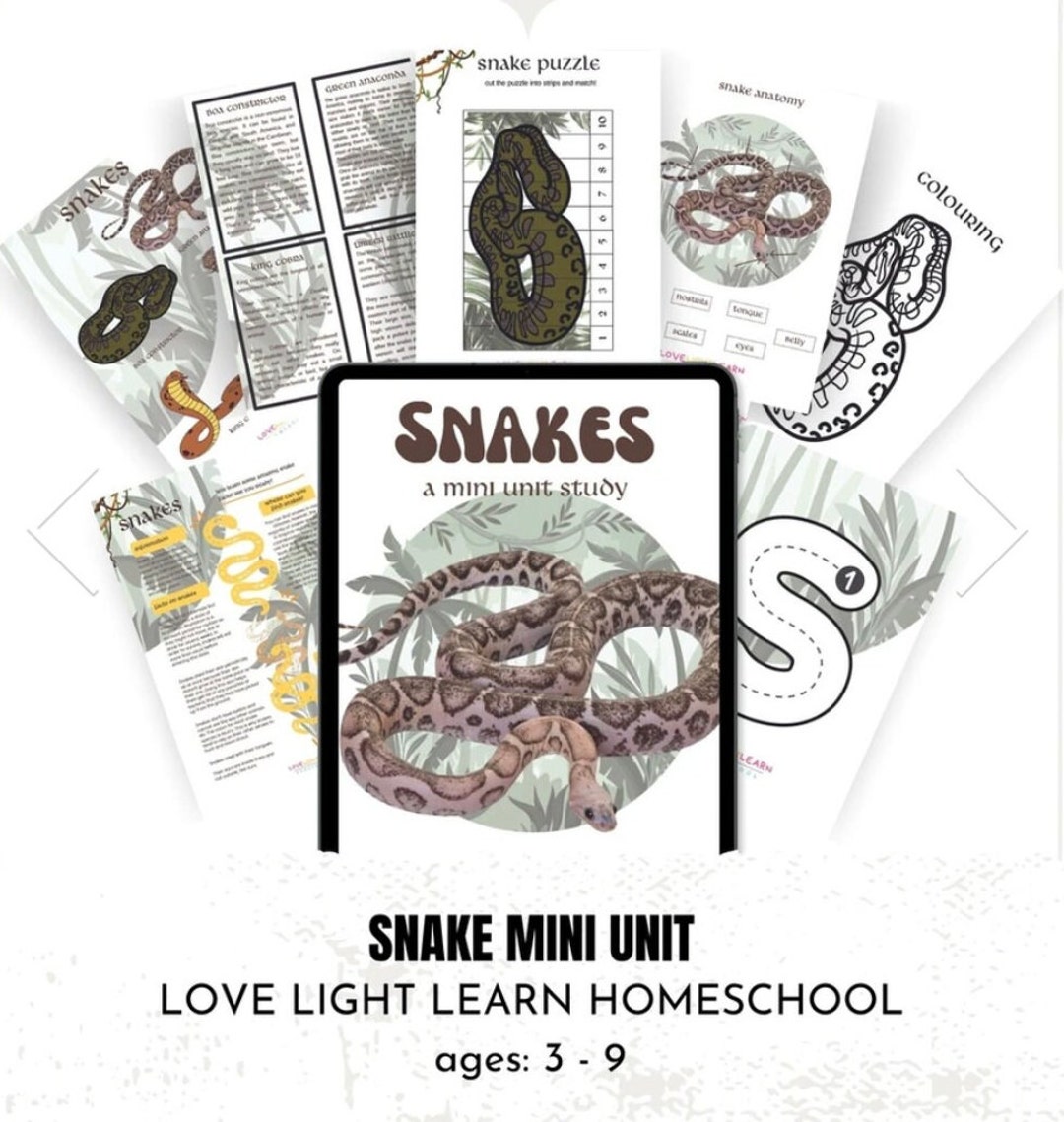 Snake Mini Unit |unit Study| Snake | Rainforest | Homeschool | Home ...