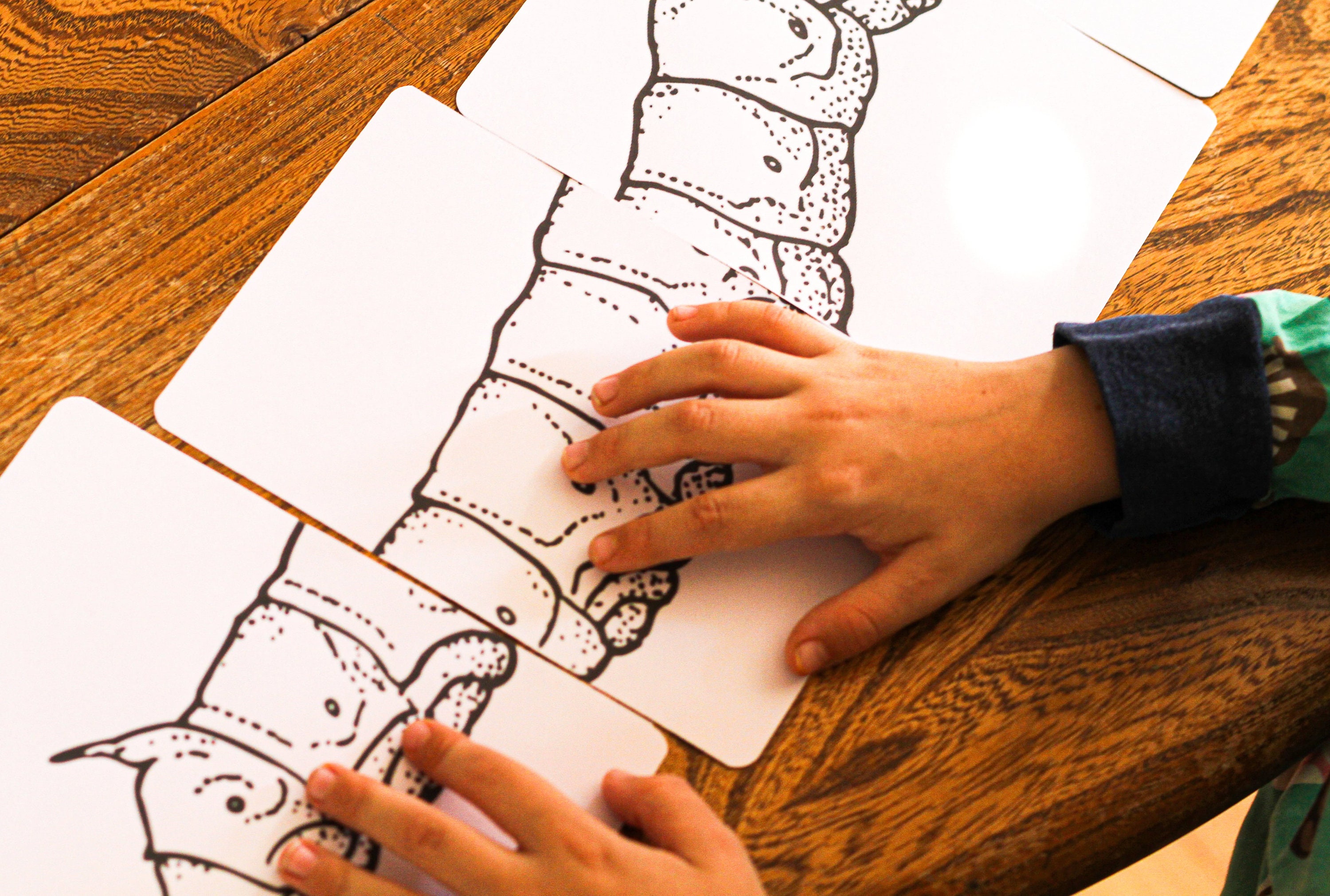 Caterpillar to Butterfly Printable Preschool Curriculum Homeschool ...