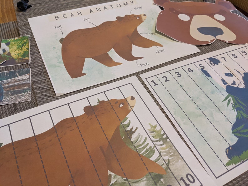 Bear Printable | Preschool Curriculum | Homeschool Printable | Digital ...
