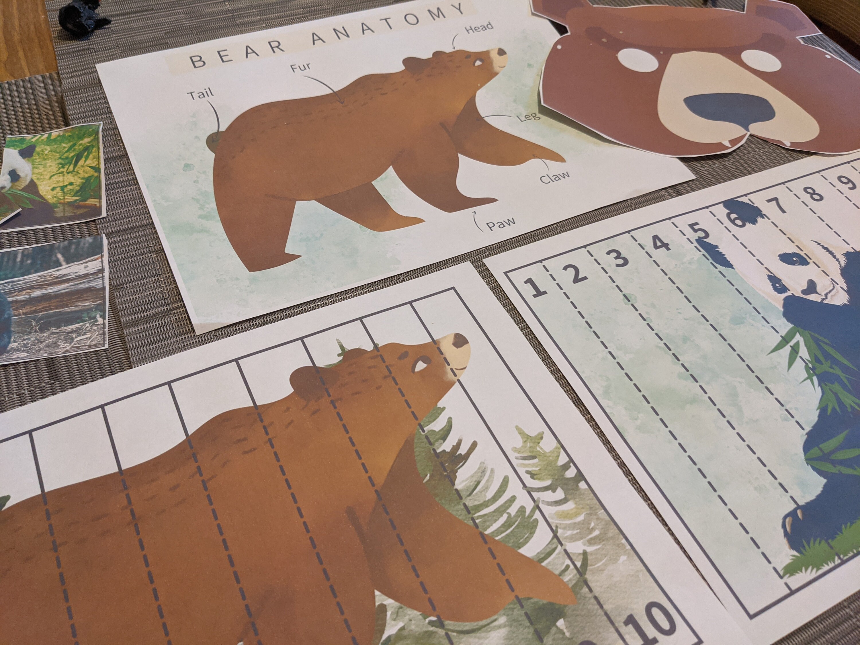 Bear Printable | Preschool Curriculum | Homeschool Printable | Digital ...