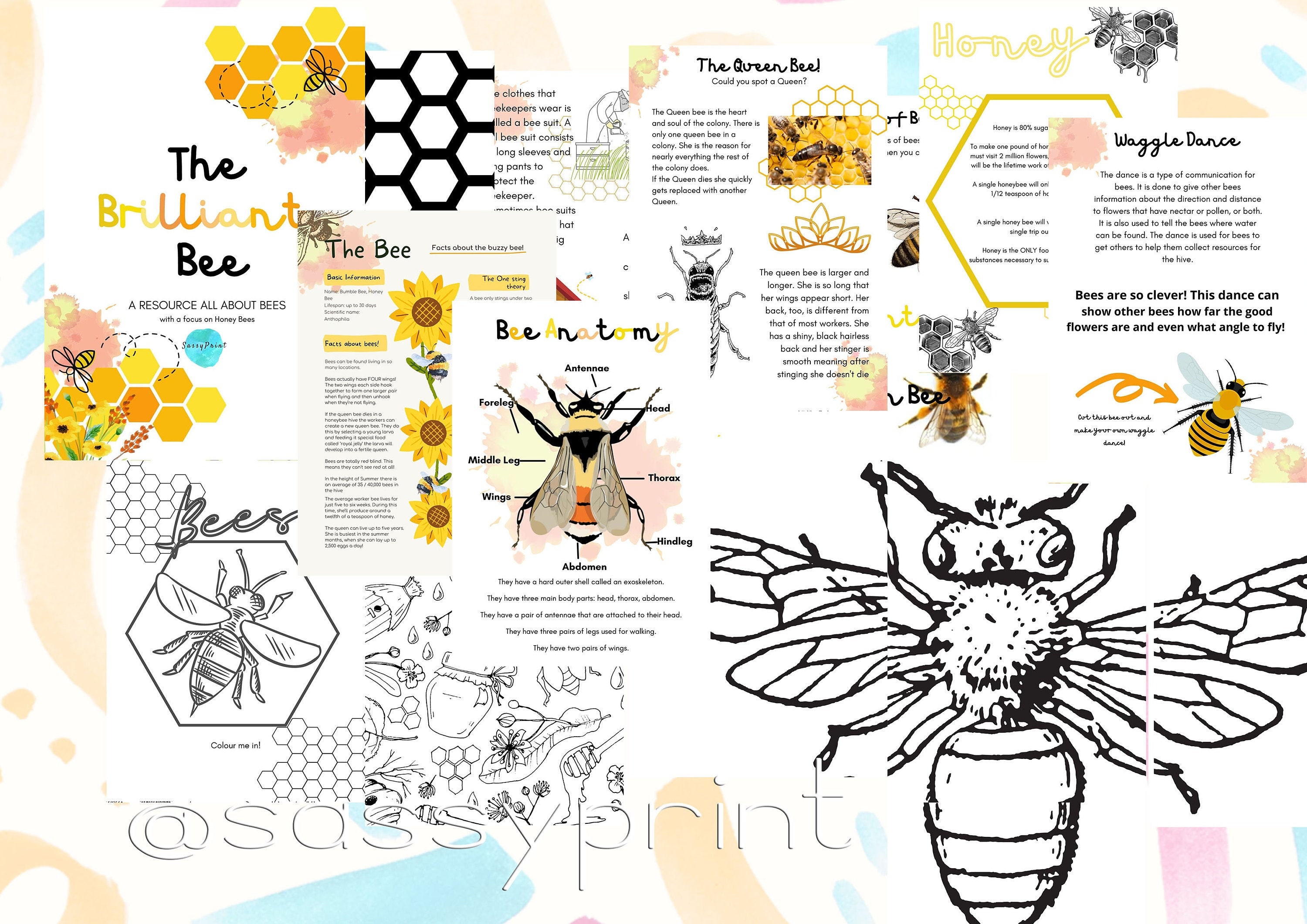The Brilliant Bee Printable | Preschool Curriculum | Homeschool ...