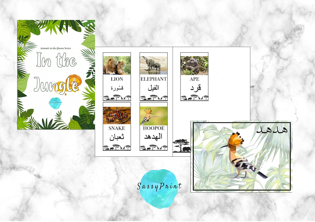 Animals in the Quran - in the Jungle | Preschool Curriculum ...