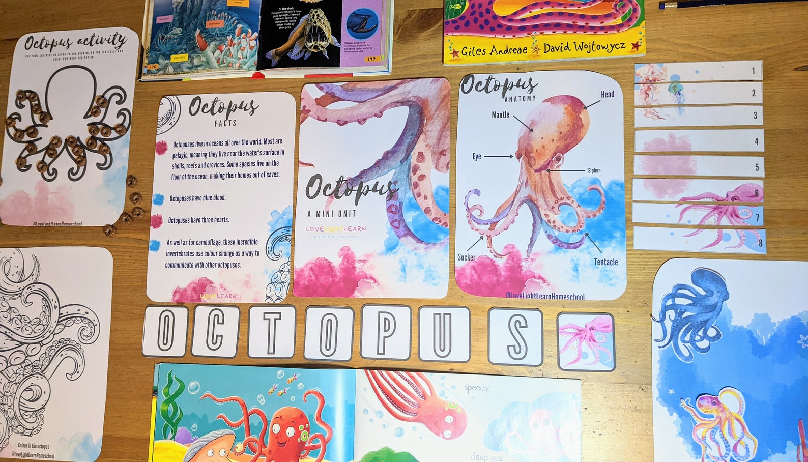 Octopus Mini Unit |unit Study| Sealife| Underwater | Homeschool | Home ...