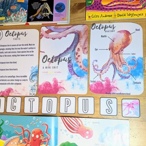 Octopus Mini Unit |unit Study| Sealife| Underwater | Homeschool | Home ...
