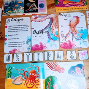 Octopus Mini Unit |unit Study| Sealife| Underwater | Homeschool | Home ...
