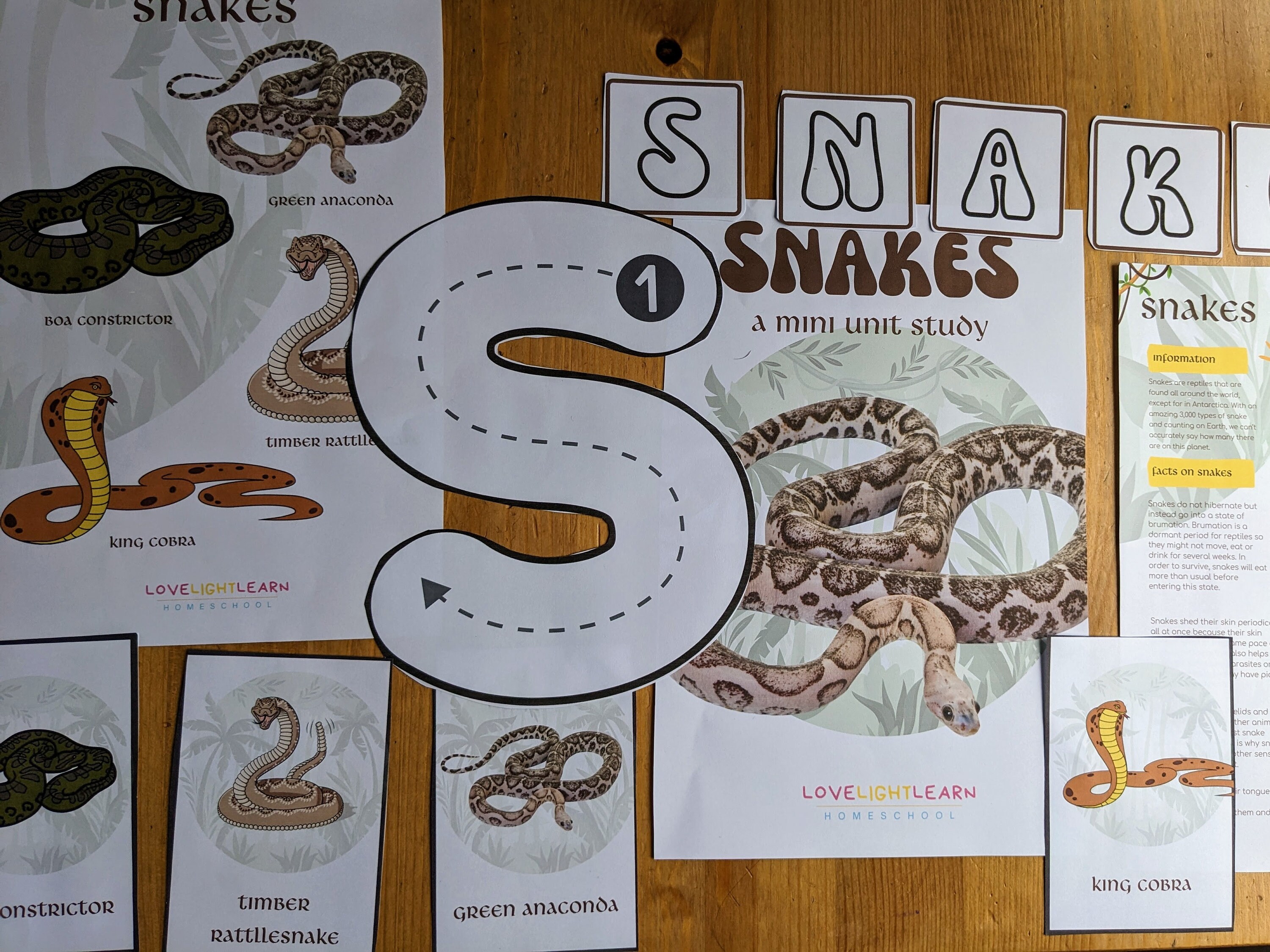 Snake Mini Unit unit Study Snake Rainforest Homeschool Home Education ...