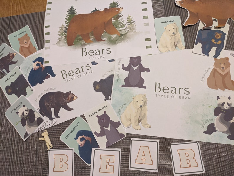 Bear Printable Preschool Curriculum Homeschool Printable Digital ...