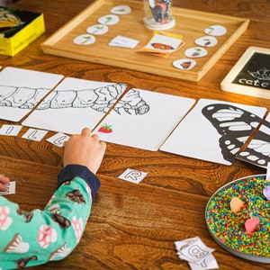 Caterpillar to Butterfly Printable | Preschool Curriculum | Homeschool ...