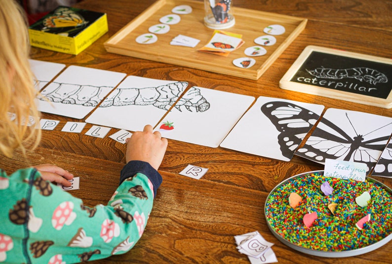 Caterpillar to Butterfly Printable Preschool Curriculum Homeschool ...