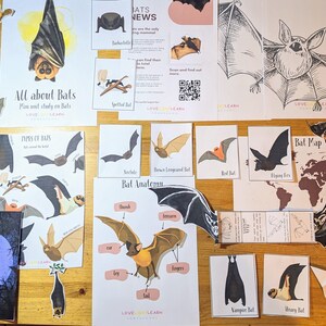 Bats Mini Study Printable | Preschool Curriculum | Homeschool Printable ...